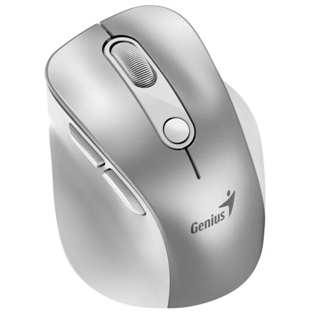 Mouse Genius Ergo 9000s Inalambrico Recargable Silver Ergonomico ...
